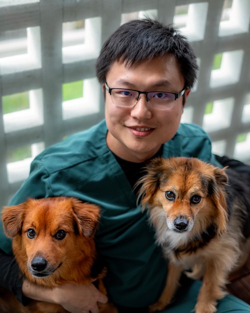 Rancho Santa Fe Veterinary Hospital - Solana Beach Veterinarians